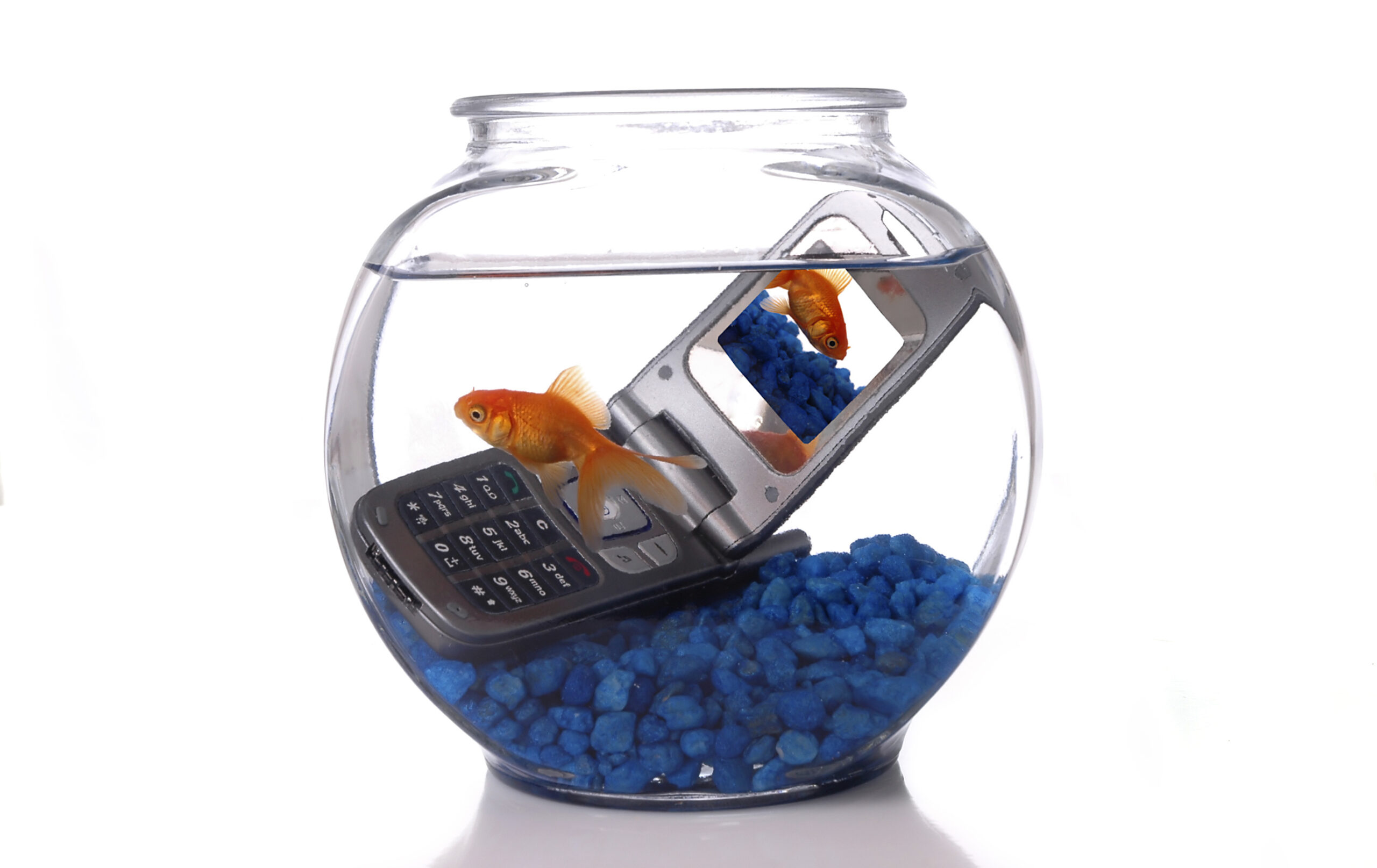 Mind the SMishing | IT On Demand